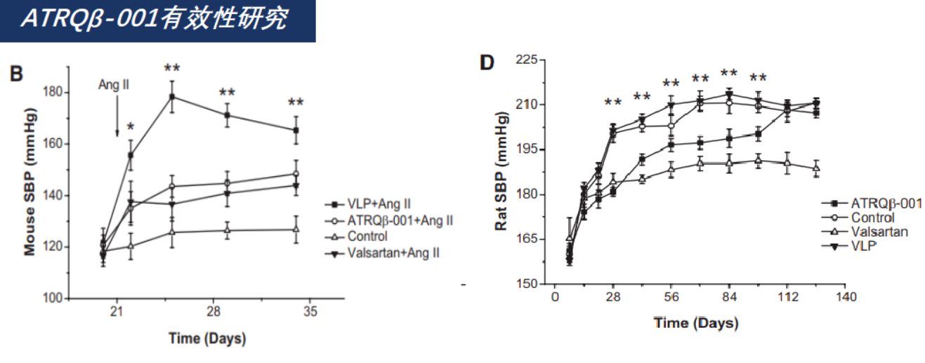 塞力医疗：临床！全球首创高血压治疗性疫苗项目突破，十年百倍，独此一家-韭研公社