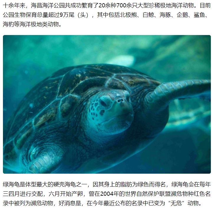 一文读懂海昌海洋公园-韭研公社