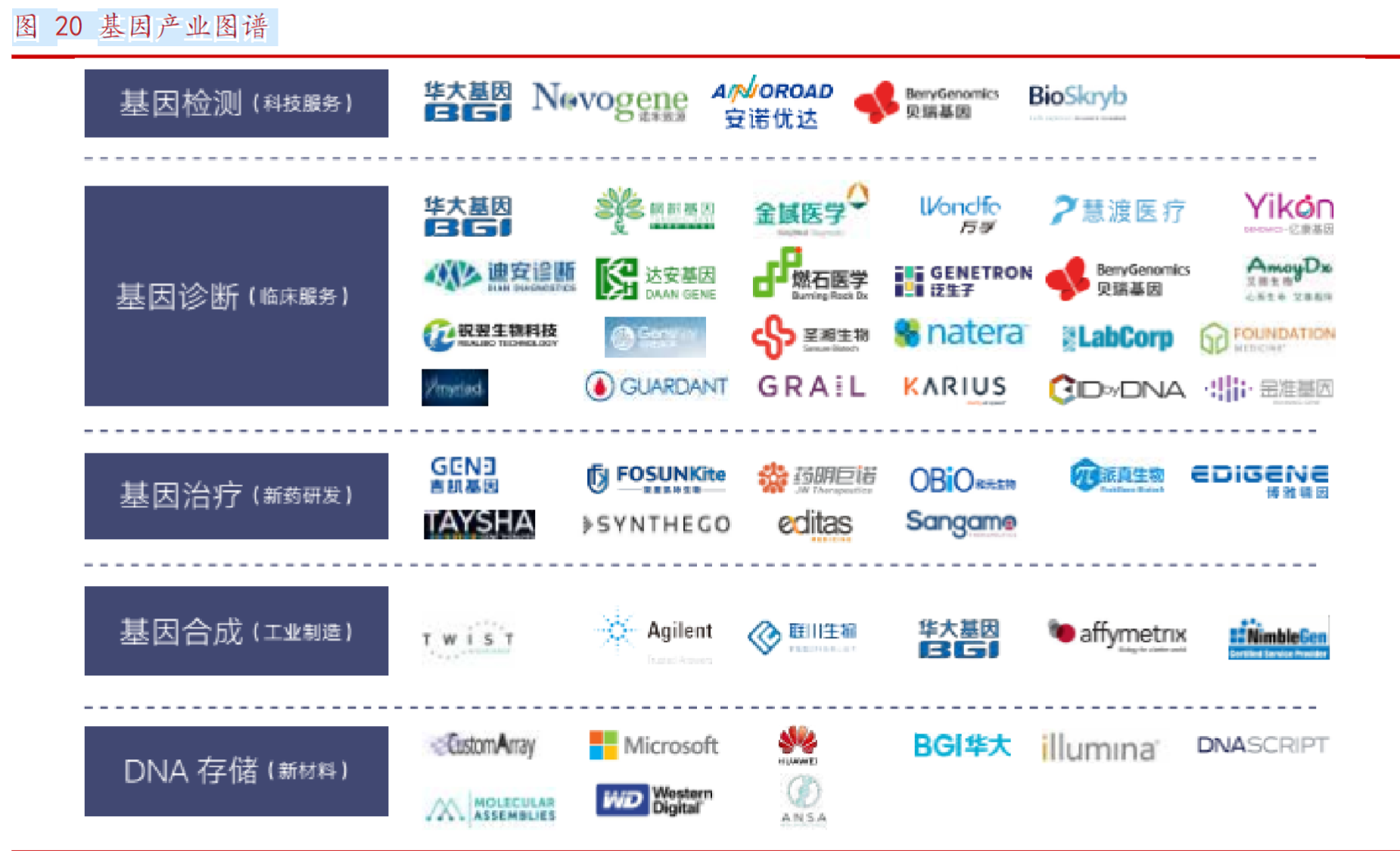 华大基因：AI赋能基因测序和创新药，优质基因数据助力新药研发-韭研公社